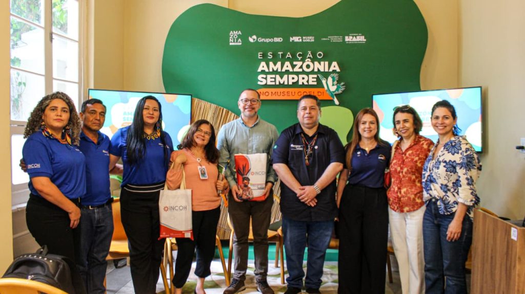 Início - Associação Automobilística do Brasil - AAB